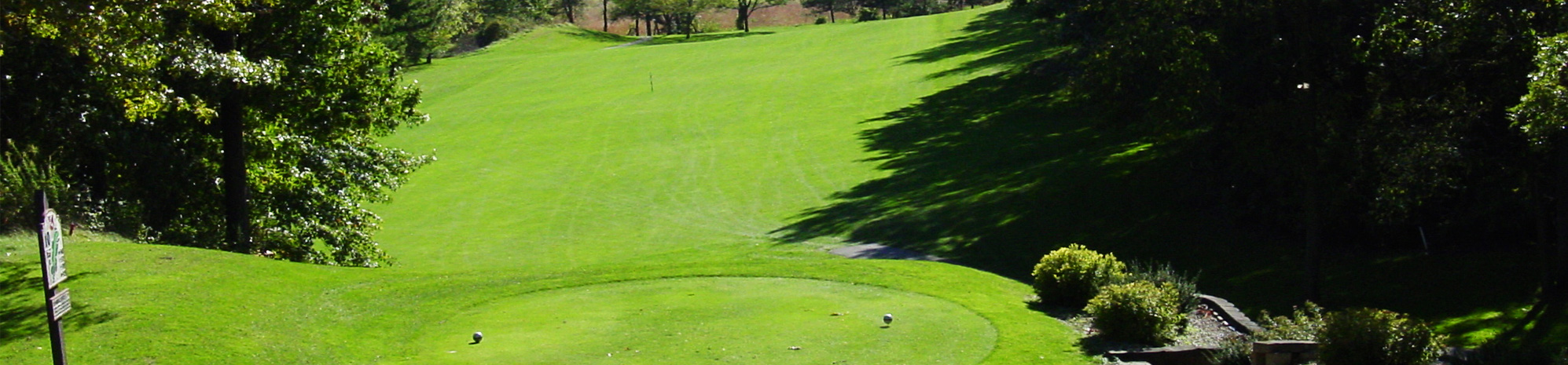 Edelweiss Chalet Country Club - New Glarus, WI